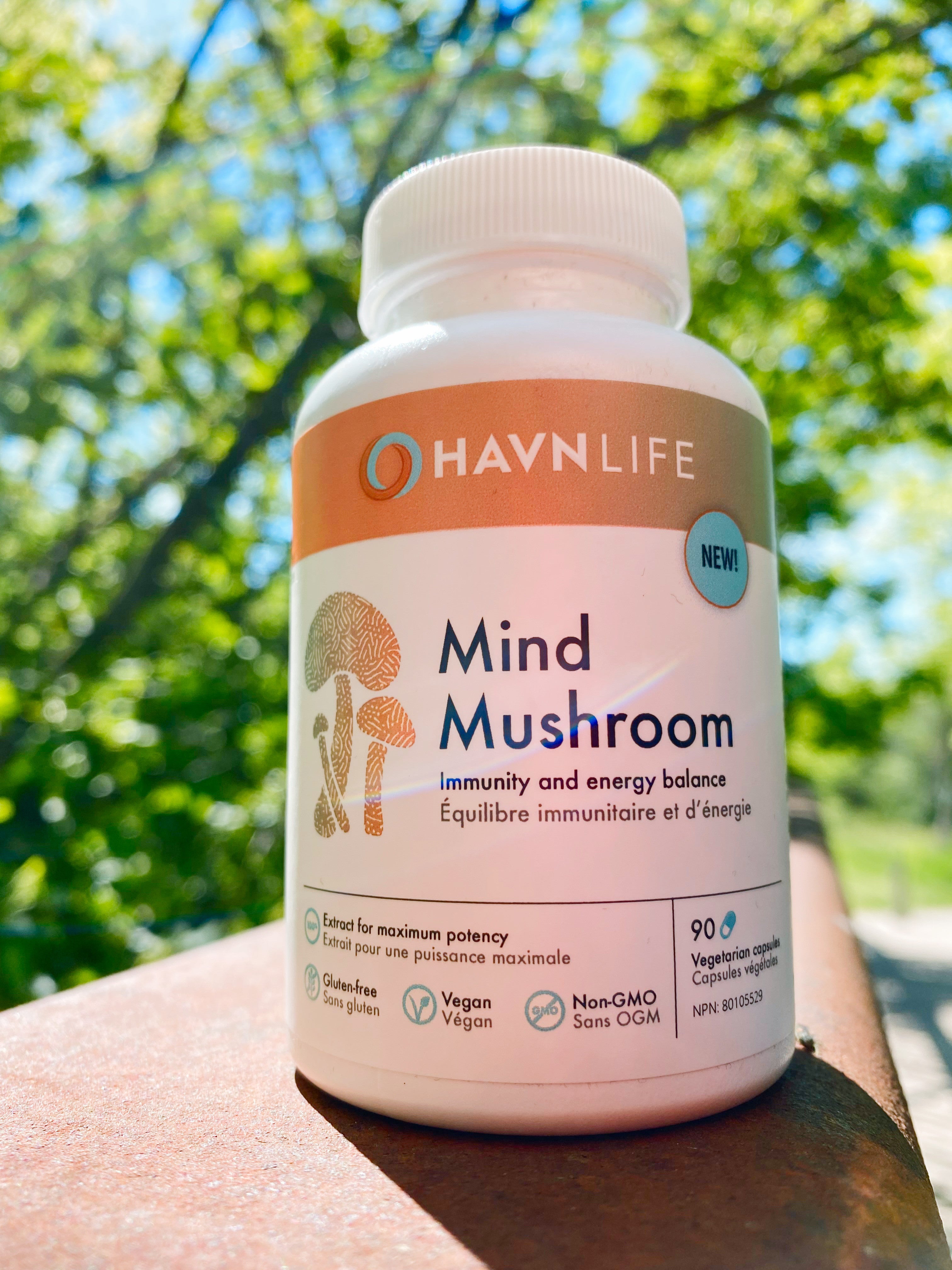 Mind Mushrooms by Havn Life – HAVN Life Retail