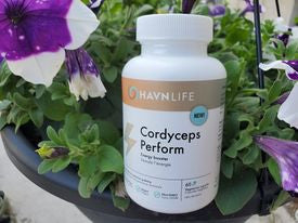 HAVNLife Cordyceps Perform – HAVN Life Retail